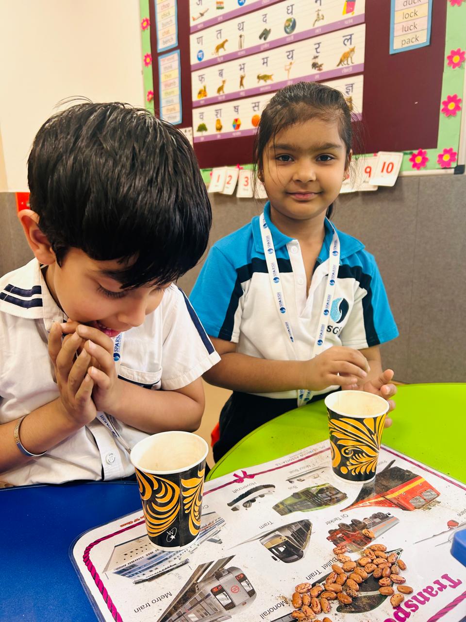 Seed sowing activity